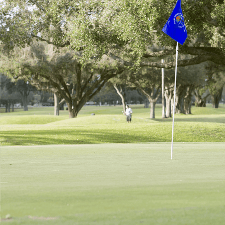15 Best Things to Do in Miami Springs (FL) - The Crazy Tourist