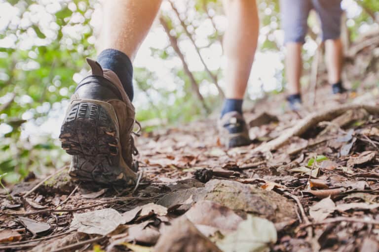 15 Best Things to Do in Rockland (MA) - The Crazy Tourist