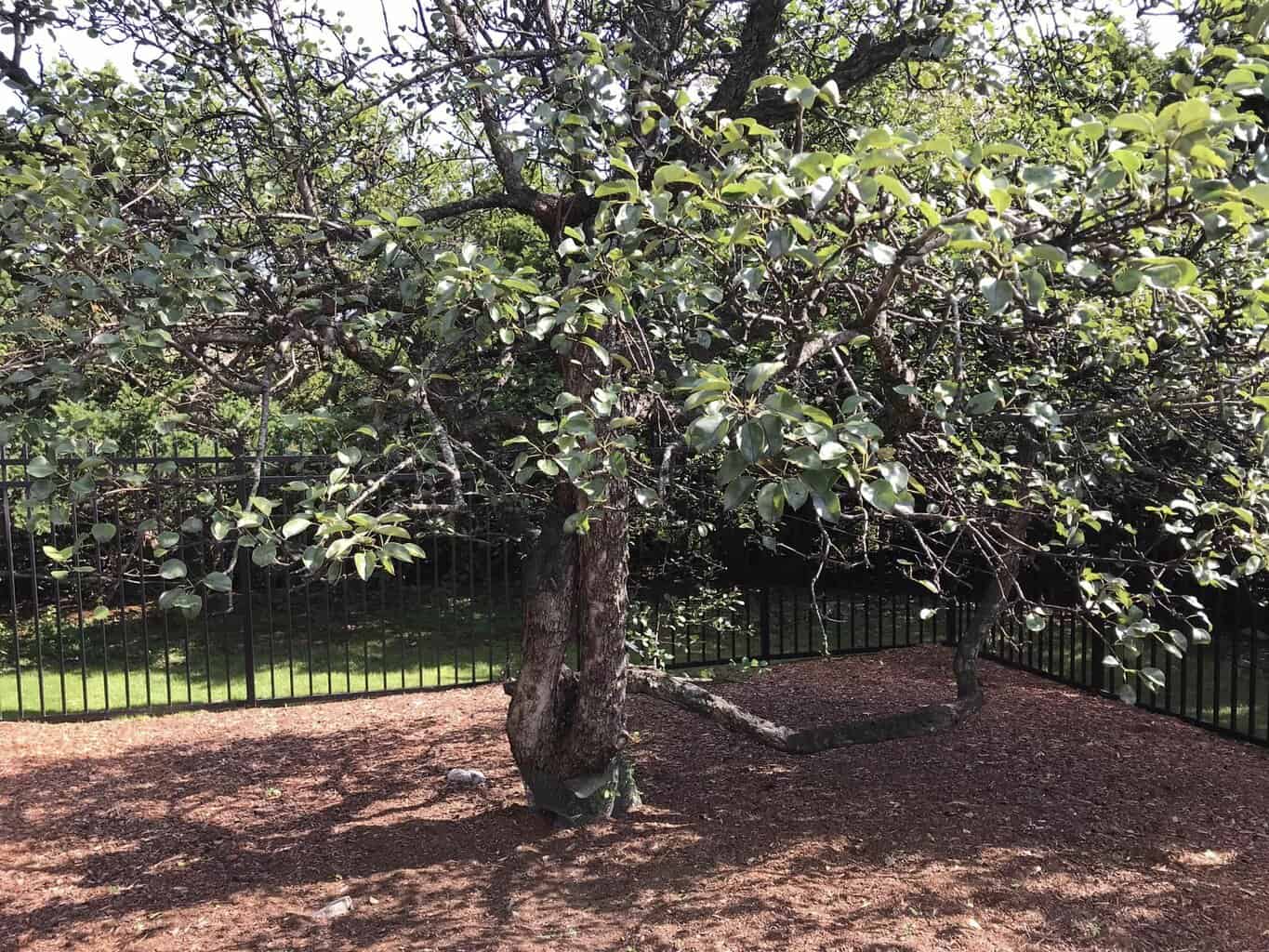 15 Best Things to Do in Danvers (MA) - The Crazy Tourist