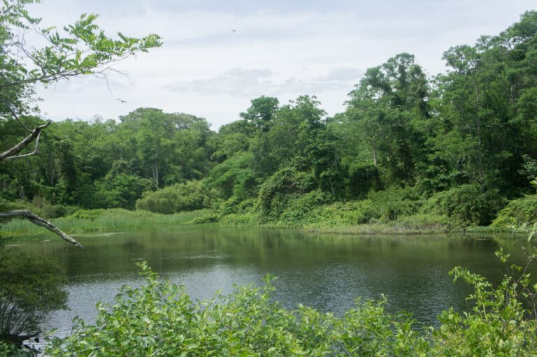15 Best Things to Do in Mashpee (MA) - The Crazy Tourist